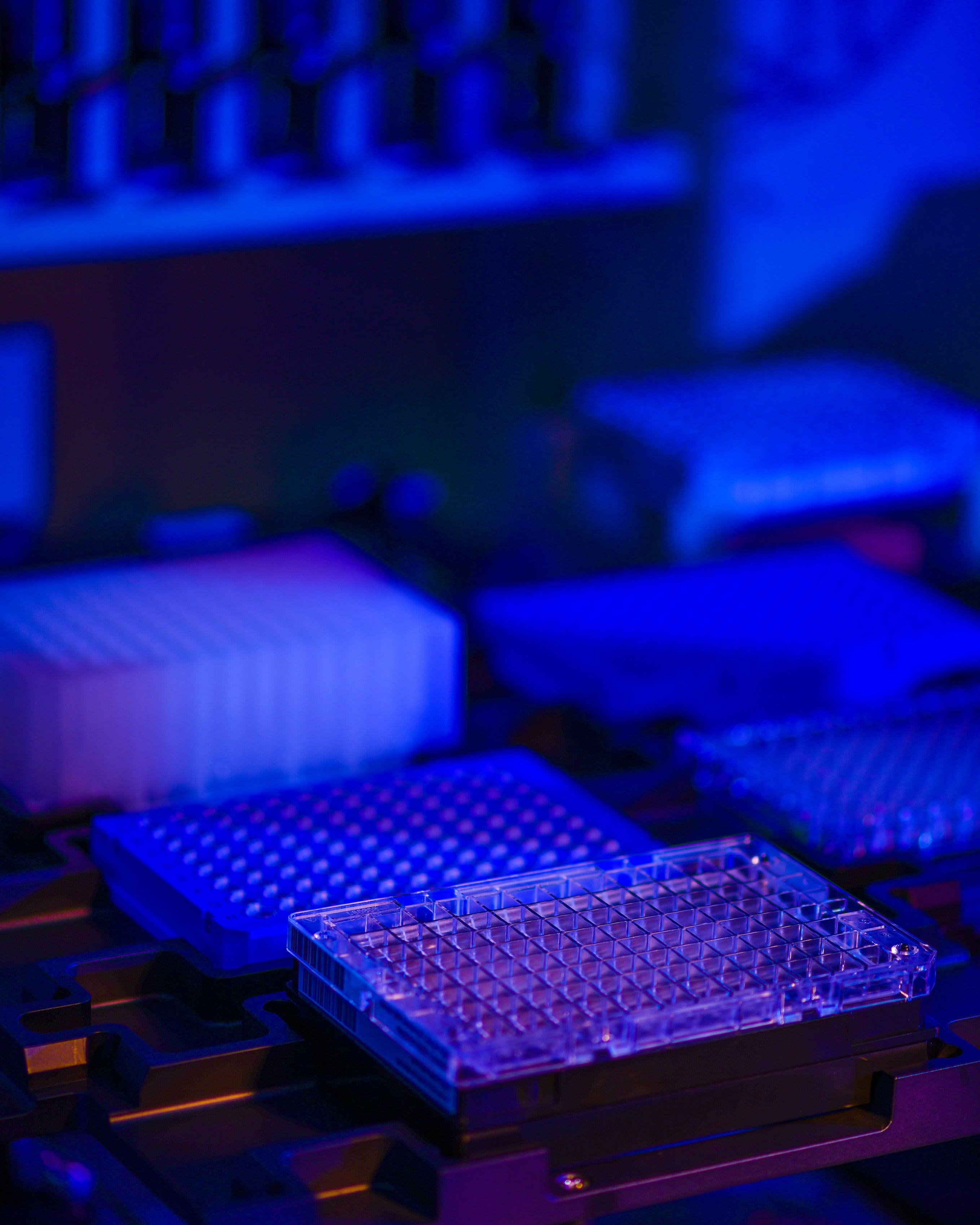 Qatar Genome Research Consortium | qphi